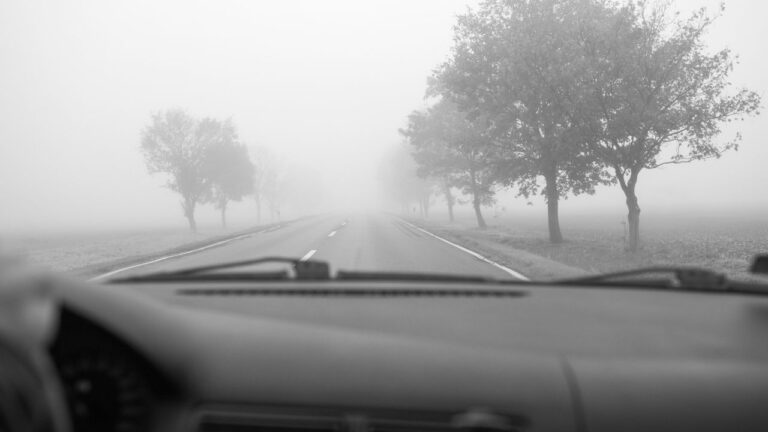 10 Safety Tips You Need to Know Before Driving In Fog